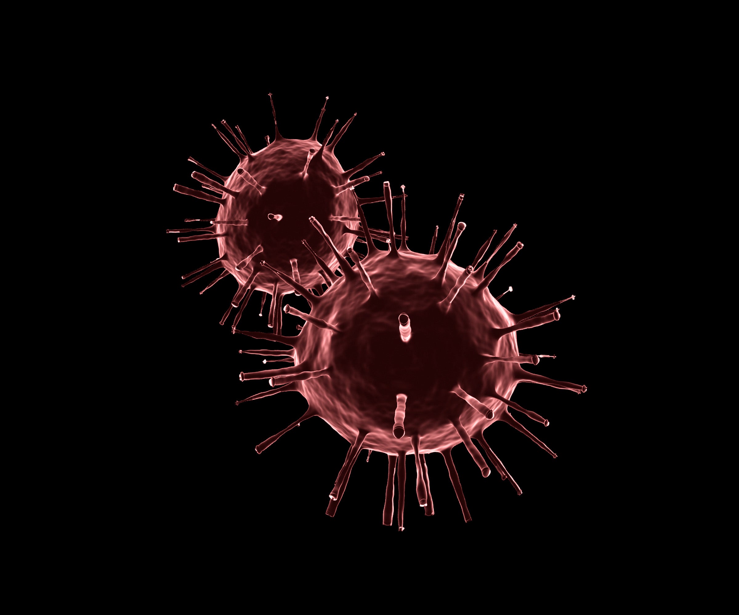 Viral Infection Kit – MD Pro Kit